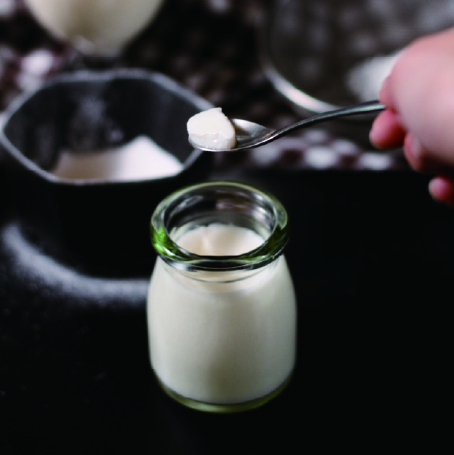 Milk Pudding Powder | Taiwantrade